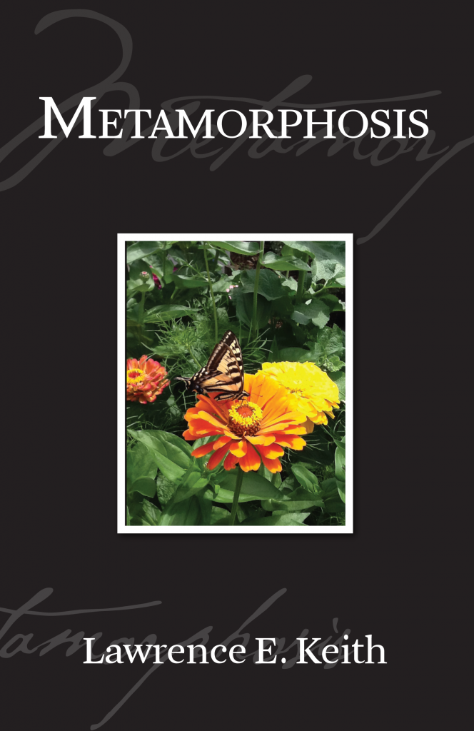 Wedding Vows - Sunrise Tortoise